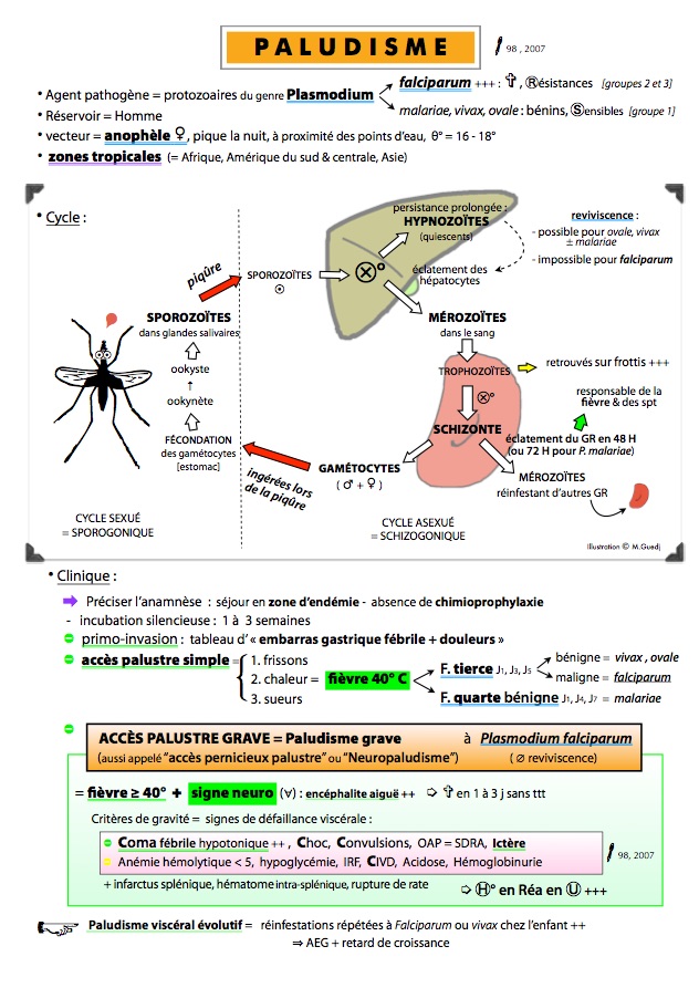 MALADIES INFECTIEUSES